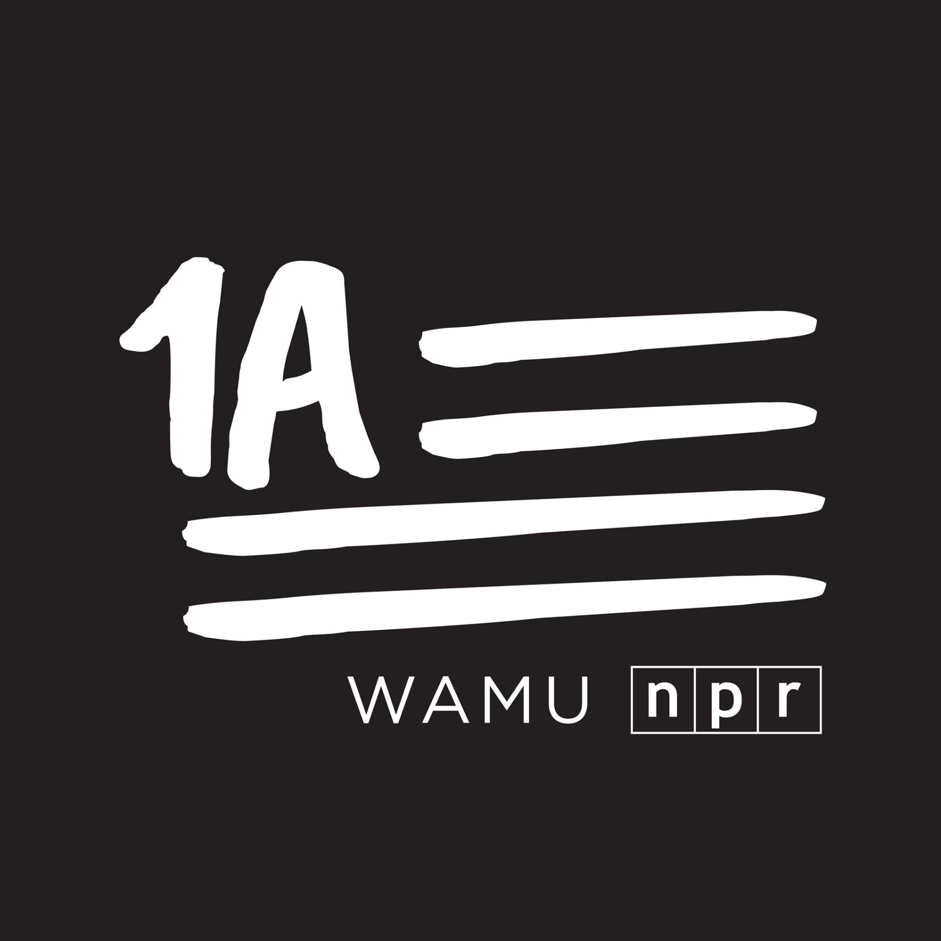 WBEZ’s Jenn White named host of NPR syndicated talk show ‘1A’ | Robert ...